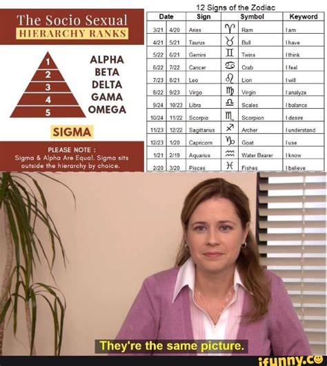 12 Signs Of The Zodiac The Socio Sexual Hierarchy Sign Tins [iin Beta