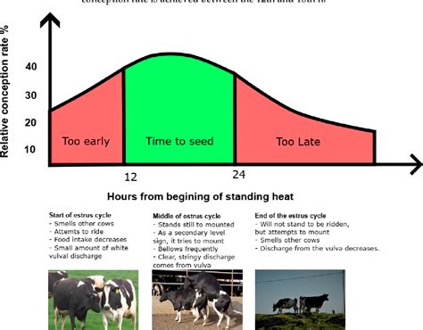 Figure 1 From Estrus Detection And Dairy Cow Identification With