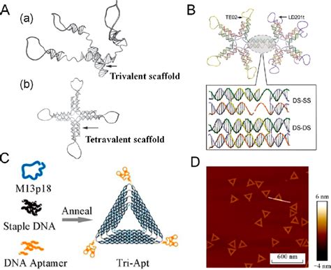 Representative Design Of Multivalent Aptamers On Two Dimensional Dna
