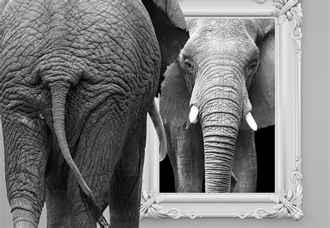 replication between postgresql versions using logical