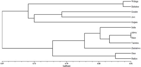 Upgma Based Dendrogram For Twelve Populations Of E Coracana Collected