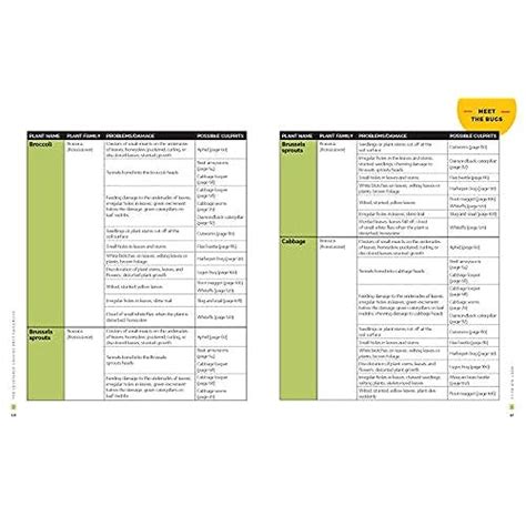 The Vegetable Garden Pest Handbook Identify And Solve