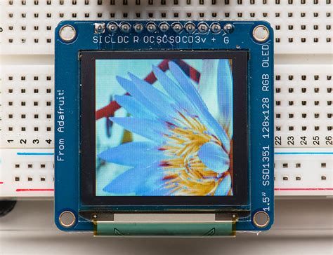 drawing bitmaps adafruit 1 27 and 1 5 color oled breakout board