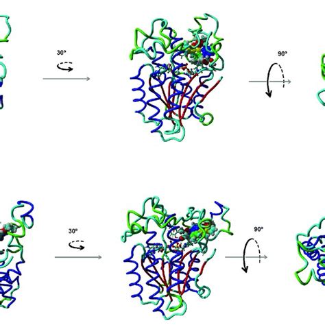Comparison Of The Two Binding Modes Of Pchlide To Lpor Both Snapshots