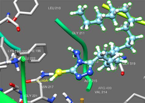 Binding Interactions Of B6 And B7 With Cox 2 Representation In Ribbon