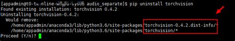 fix attributeerror module torchvision has no attribute version