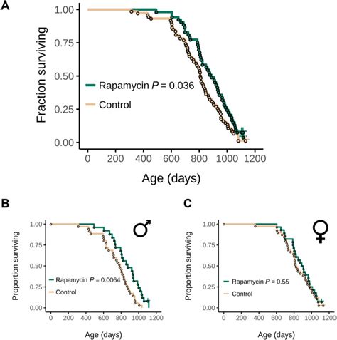 Rapamycin Treatment During Development Extends Life Span And Health