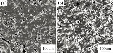 Sem Microstructures Of Pore Morphology And Distribution In Porous