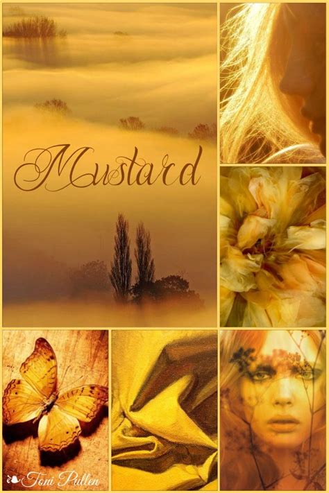 ☮ ° ♥ ˚ℒℴѵℯ Cjf Color Inspiration Boards Color Collage Color Balance