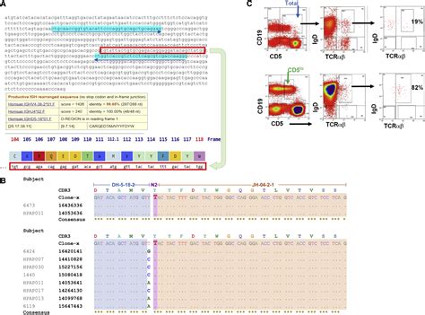 A Reply To “tcr Bcr Dual Expressing Cells And Their Associated Public