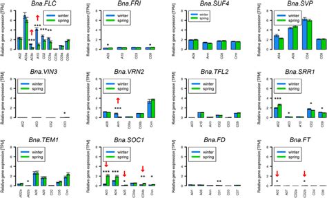 Rnaseq Tpm