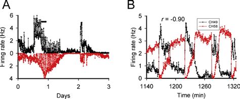 Electrical Firing Rates Of Neuron Pair Exhibiting Negatively Correlated