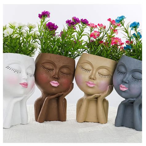 Maceta Con Cabeza Frontal Para Plantas Suculentas Contenedor De Resina