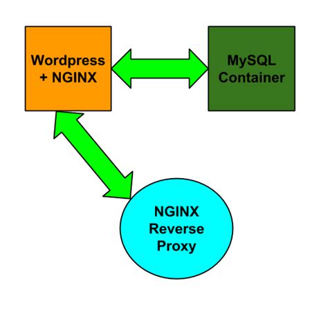 wordpress nginx reverse proxy bwods
