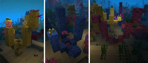 minecraft java edition is there any information about the coral reef