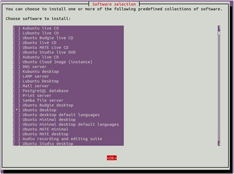 how to install vnc server on ubuntu 20 04 tecadmin