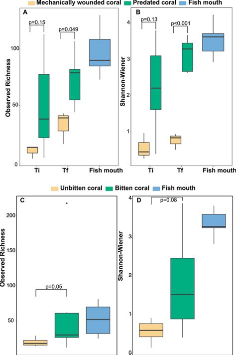 Alpha Diversity Metrics Observed Richness And Shannon Wiener Diversity