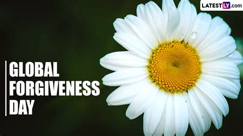 Festivals And Events News Celebrate Global Forgiveness Day 2024 With