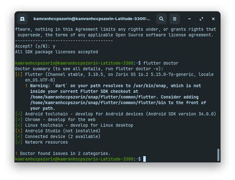flutter doctor ubuntu zorin os summary shows the problem dart path