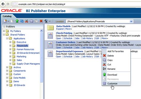 using the customize feature 11g release 1 11 1 1