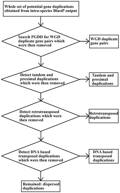 Flowchart Of The Procedure For Classifying Gene Pairs Based On Mode Of