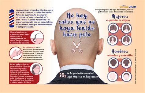 InfografÍa Causas De La Caída Del Cabello Ciencia Unam
