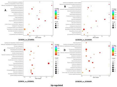 Ijms Free Full Text Tissue Specific Transcriptome And Metabolome