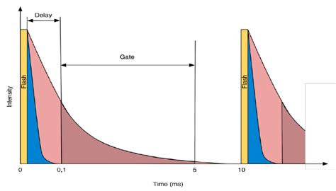 Time Resolved Fluorescence Measurement Principle At 0 S An Excitation