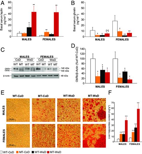Increased Serum Leptin Levels And Liver Disease A Basal Serum Leptin