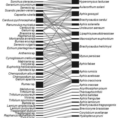 Quantitative Bipartite Network Of Interactions Between Host Herbaceous