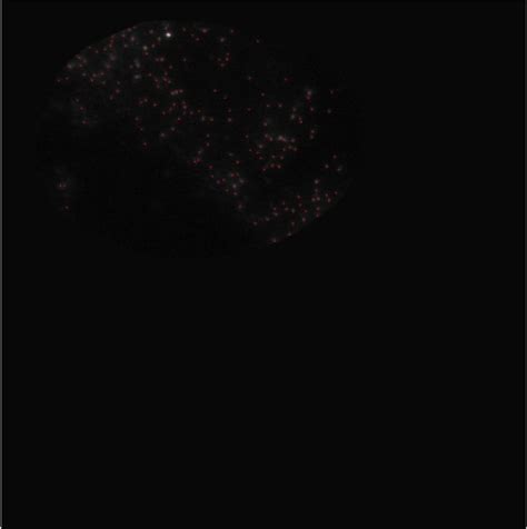 using masked images with python trackpy stack overflow