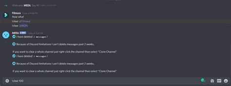 how to delete messages on discord in bulk [2023 updated]