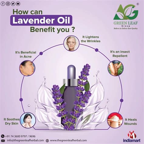 Lavender Essential Oil Uses