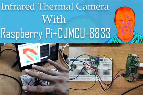 raspberry pi infrared thermal sensor