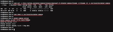 docker guide dockerizing python django application
