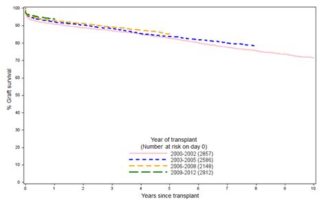 replicating excel s logarithmic curve fitting in r bit
