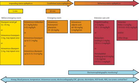 Status Epilepticus Pathophysiology And Management In Adults The