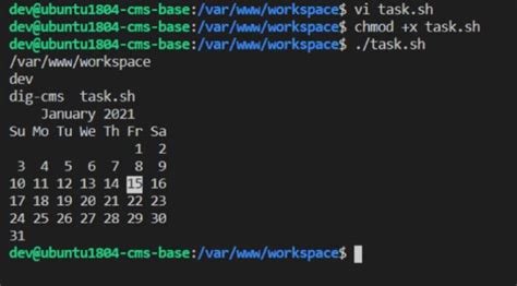 bash scripting part 1 dezlearn learn it easy