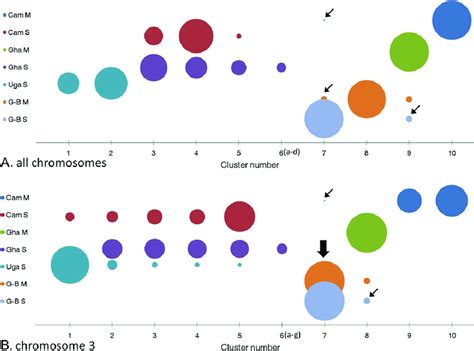 Individual Based Baps Cluster Analyses Of Individuals From All Sample