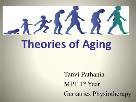 Theories Of Aging
