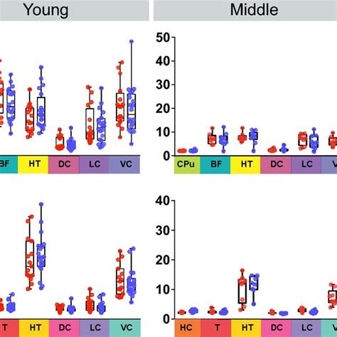 pdf biological sex does not predict glymphatic influx in