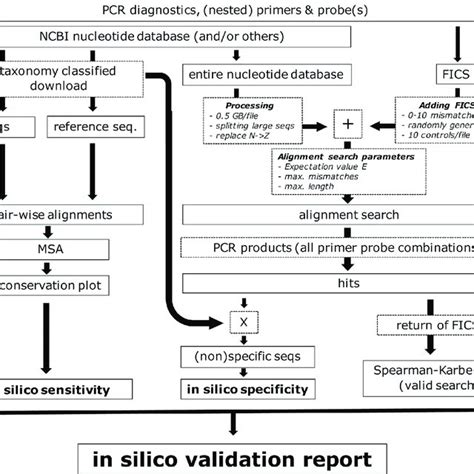 Schematic Overview Of The In Silico Validation Procedure Automated By