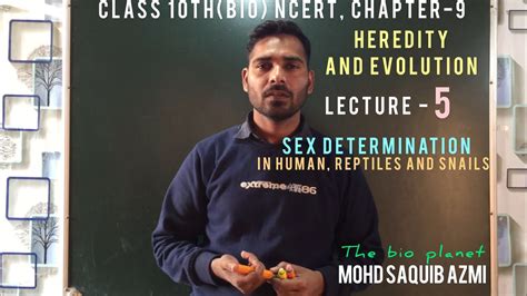 Sex Determination In Human In Hindi Lecture 5 Heredity And Evolution