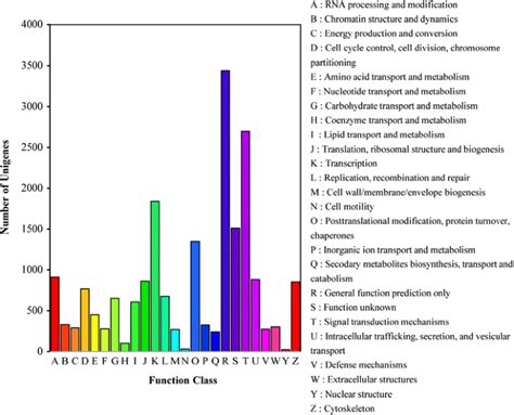 Comparative Transcriptome Analysis Provides Insights Into