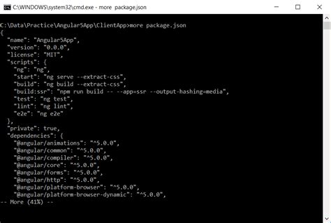 create an angular 5 app in 5 steps using dotnet cli