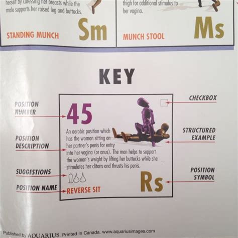 Periodic Table Of Sex Positions Poster Telegraph