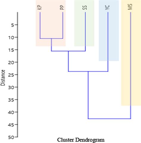 Cluster Dendrogram Of Five B Frerei Accessions Generated From 32
