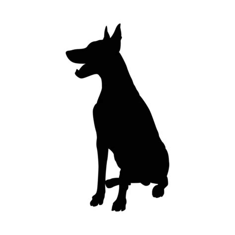 Kat Silhouetten Set Vectorafbeelding Door © Angelp ⬇ Vectorstock 3657728