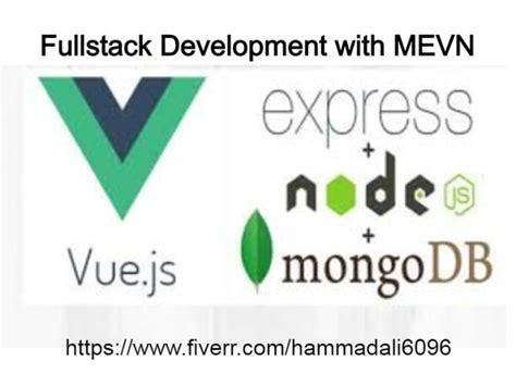 build a fullstack web application in vue js and node js by