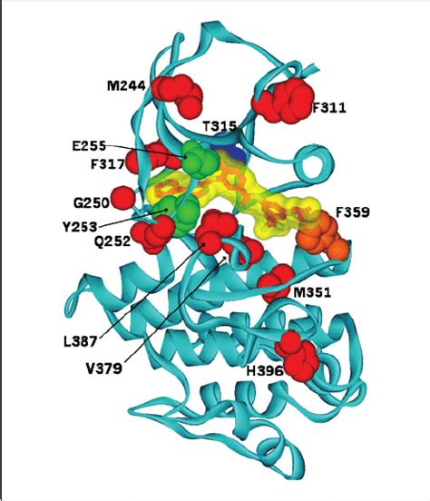 Amn107 In Complex With Kinase Domain Of Abl Mutant M351t Schematic